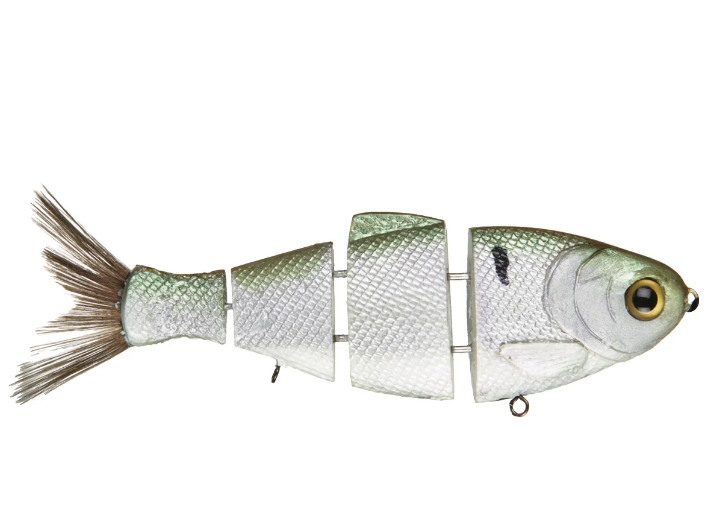 BULL SHAD 5" SHAD FAST SINKING SWIMBAIT – The Bass Hole