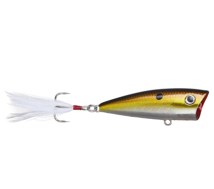 DON IOVINO'S SPLASH-IT POPPERS – The Bass Hole