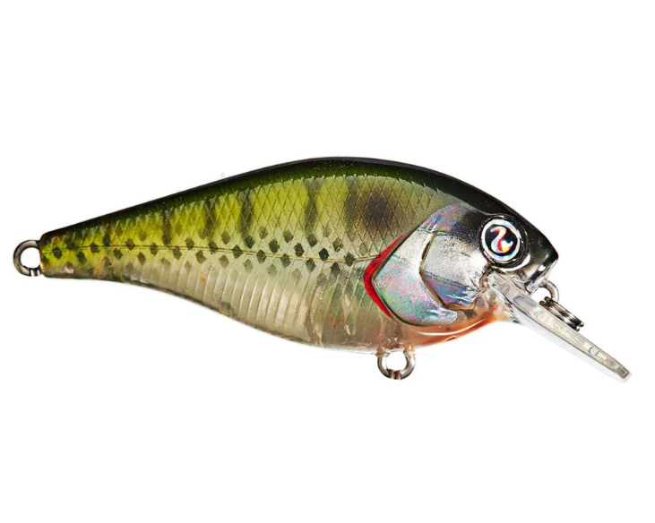 RIVER2SEA ISH MONROE BIGGIE SMALLS SQUAREBILL CRANKBAIT – The Bass Hole